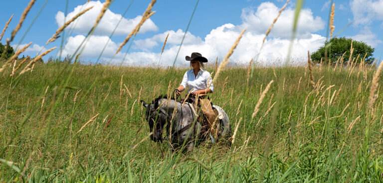 home-2023 - odl agency